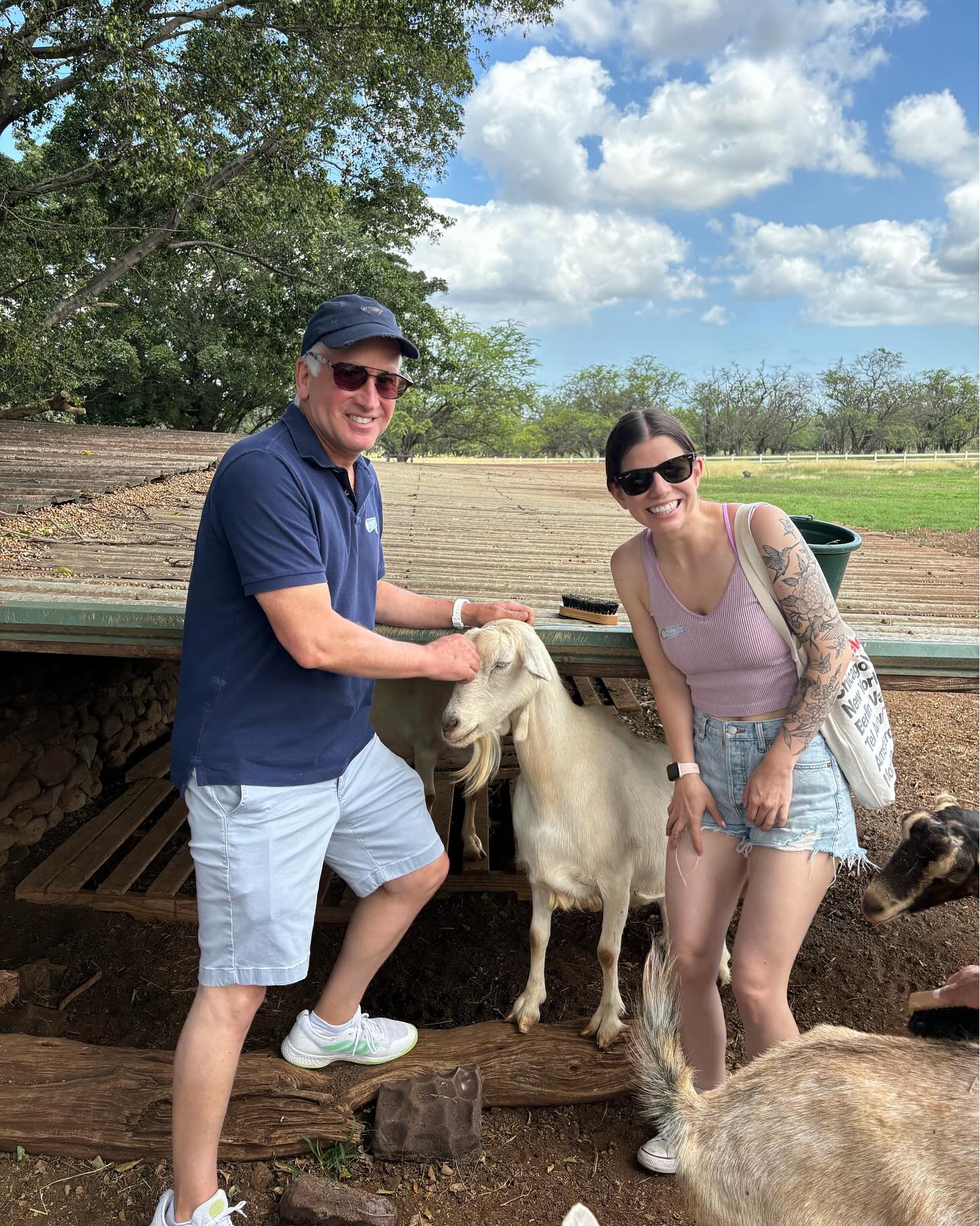 Golden Girl Experience: An Exclusive Goat Interaction Tour – Surfing ...